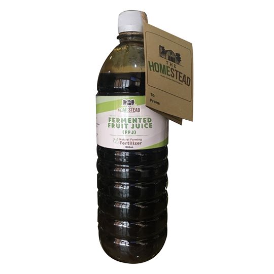 FFJ (Organic Fertilizer Fermented Fruit Juice) – The Homestead