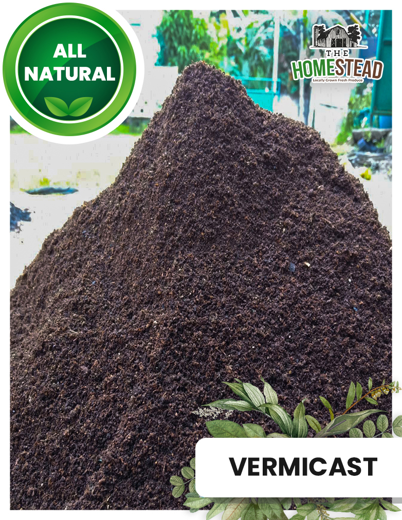 FPJ (Organic Fertilizer Fermented Plant Juice) – The Homestead