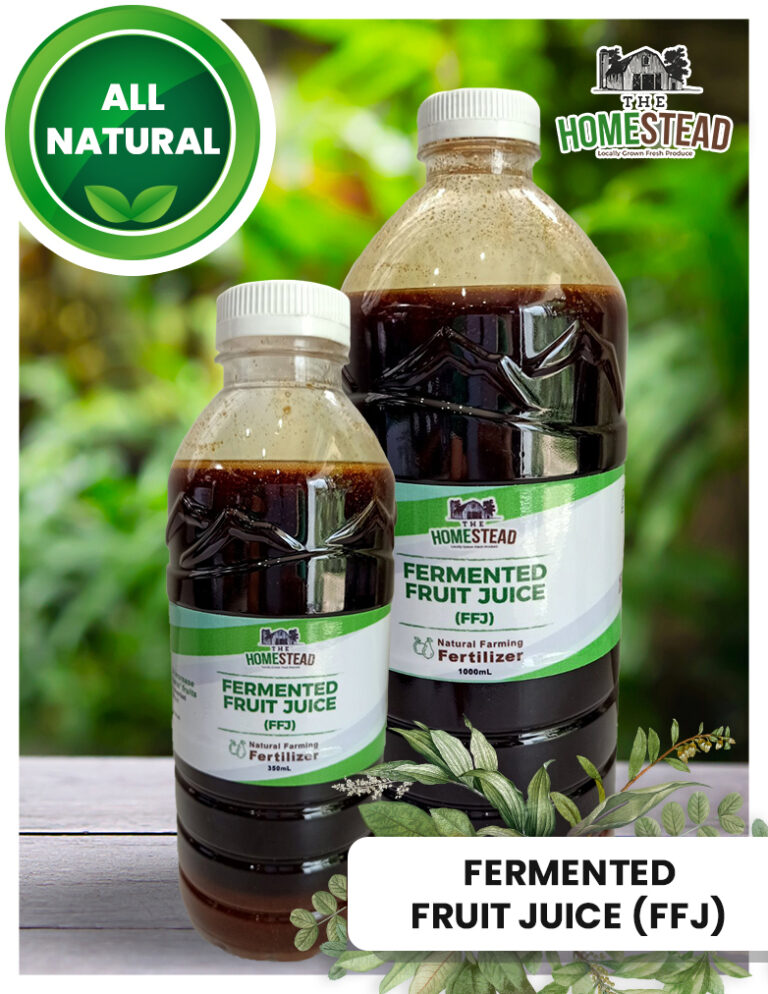 FFJ (Organic Fertilizer Fermented Fruit Juice) – The Homestead