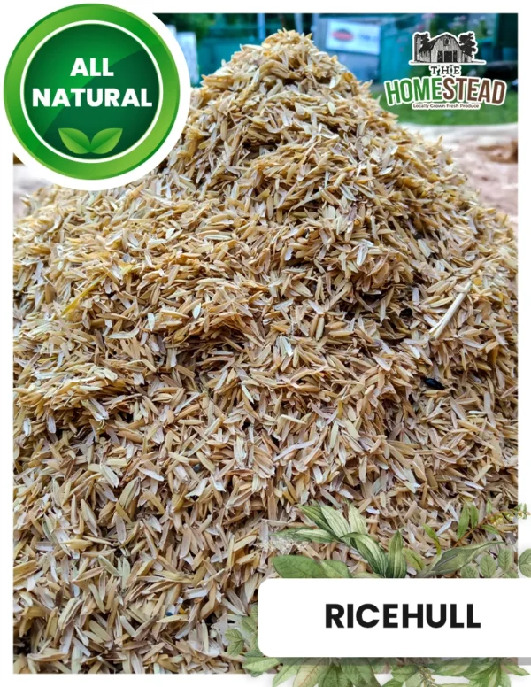 RICEHULL – The Homestead