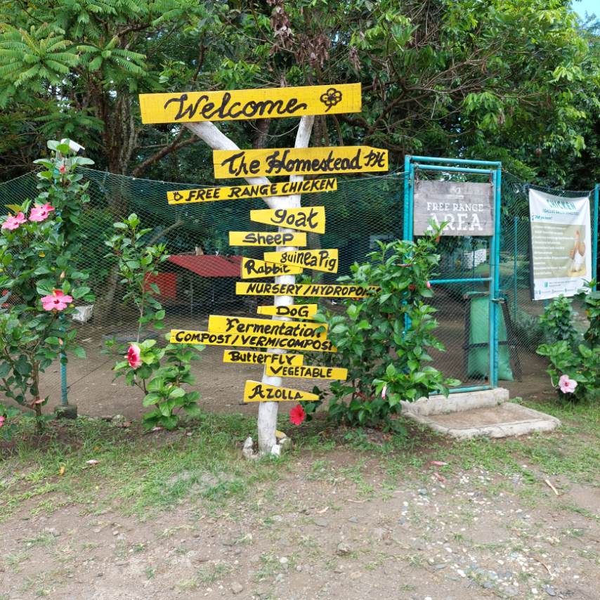 Gallery – The Homestead