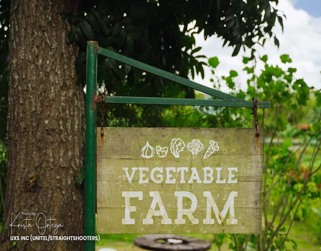 Gallery – The Homestead